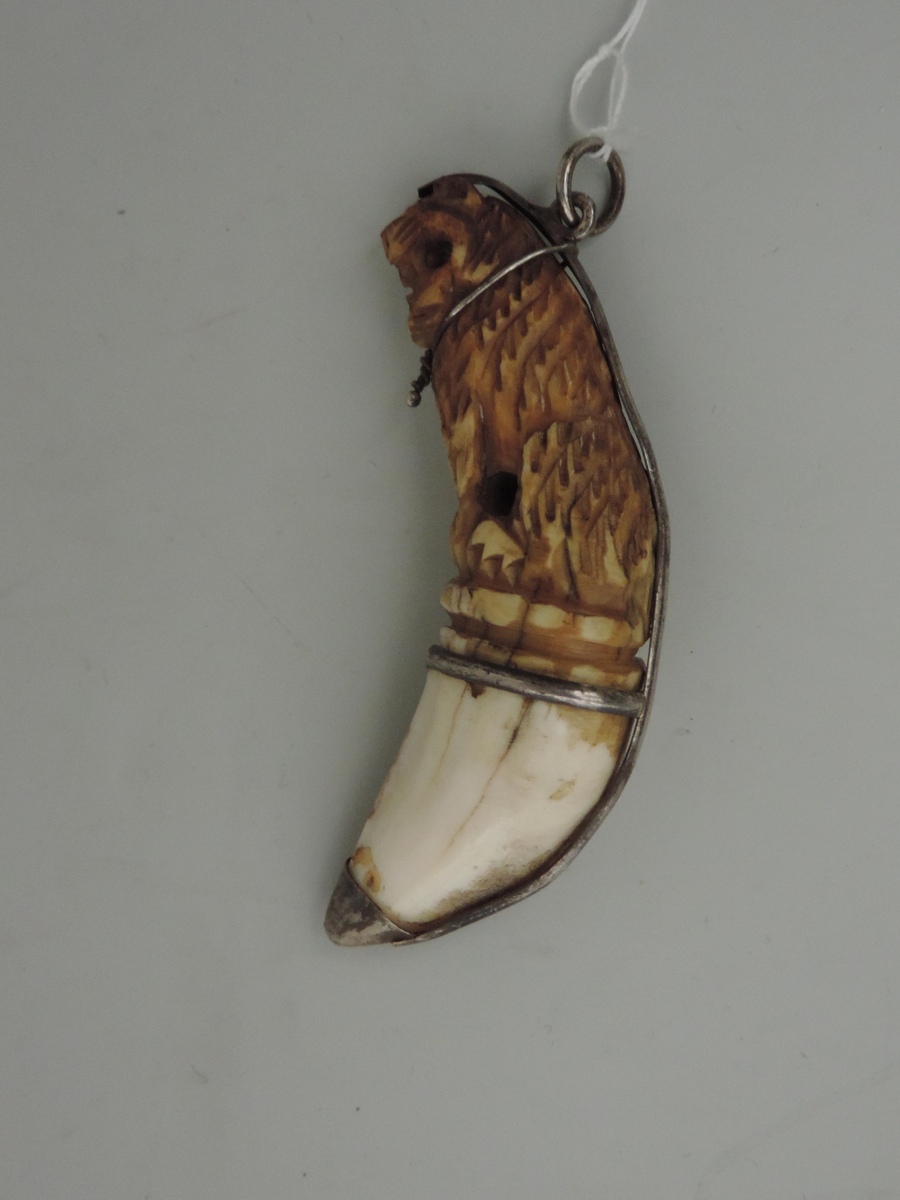 Tigerzahn-Amulett - Schuler Auktionen Zürich